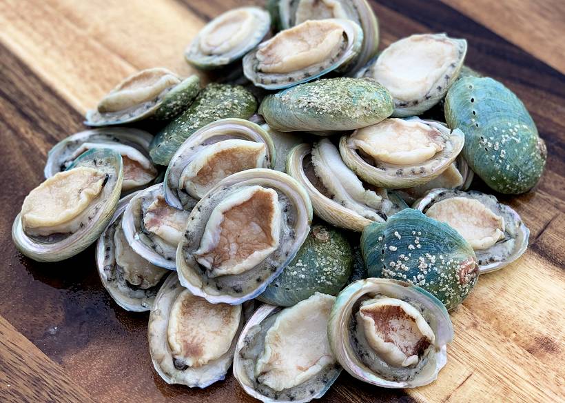 Yumbah Canned Abalone | Shop | Terra Mare Prime